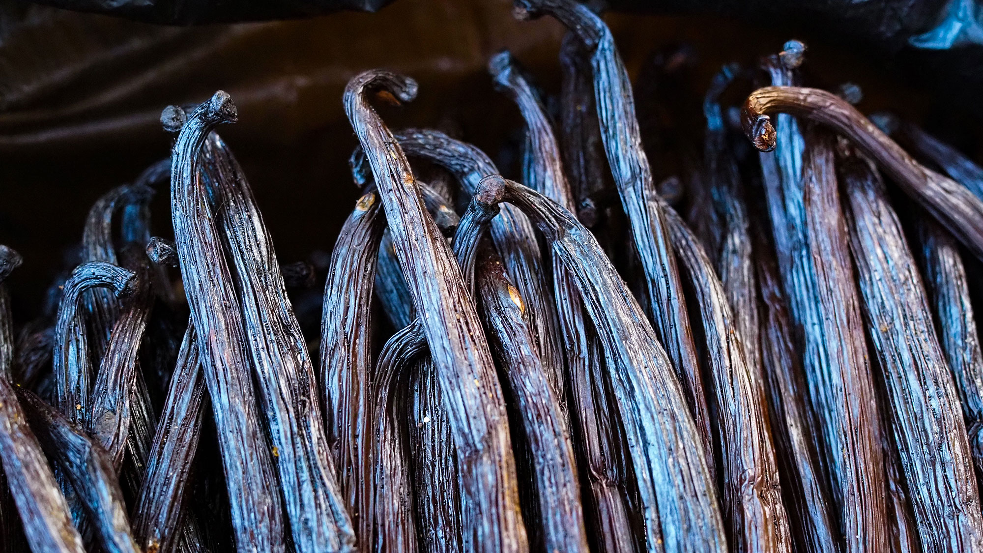 The Okinawa Vanilla Company